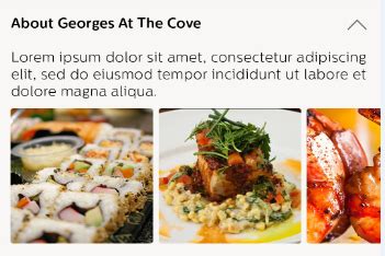 Android Displaying Horizontal Recyclerview Along With Images And Text In Expandable Listview