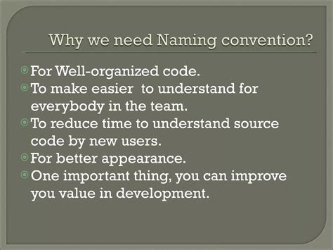 Naming Standards And Basic Rules In Net Coding Ppt Programming Languages Computing