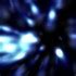 Neuroimaging Assessment Of Memory Related Brain Structures In A Rat
