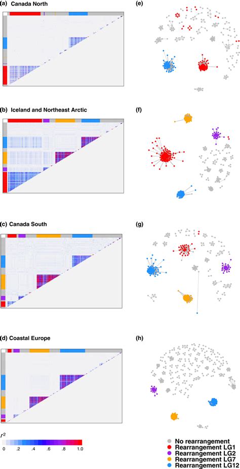 Linkage Disequilibrium Between Outlier Single Nucleotide Polymorphisms