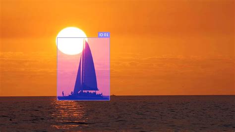 Neural Processing Unit Integration For Accelerated Ai Labelvisor