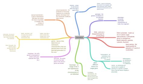 Genetics Coggle Diagram Genetics Coggle Diagram