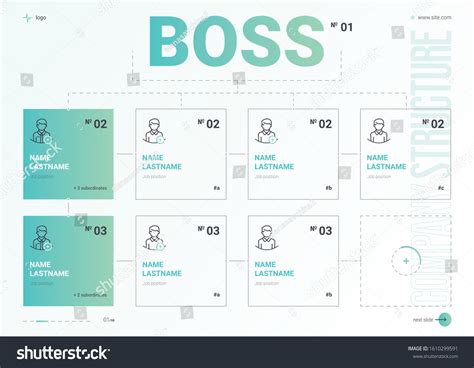 Structure Company Business Hierarchy Organogram Chart Stock Vector Royalty Free