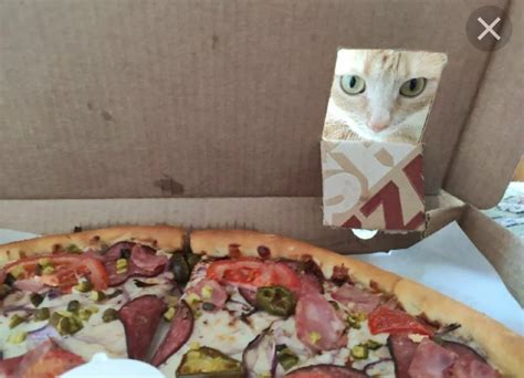 Create Meme Pizza Burger Dominos Rolls Pizza Cat Pizza Pictures