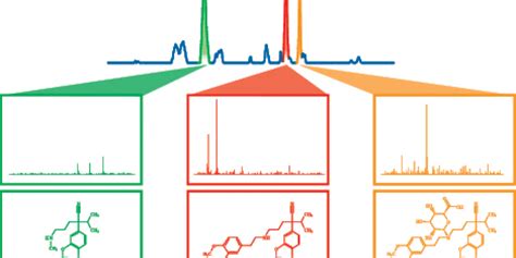 A New Software Solution For Efficient Comprehensive Metabolite