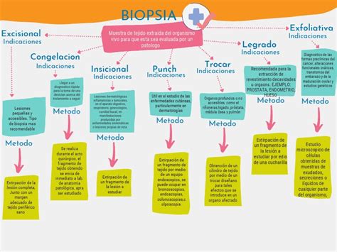 Mapa Conceptual Tipos De Biopsias Pdf Biopsia Medicina Clinica