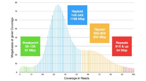 long read coverage of the cell line assembly read coverage per base