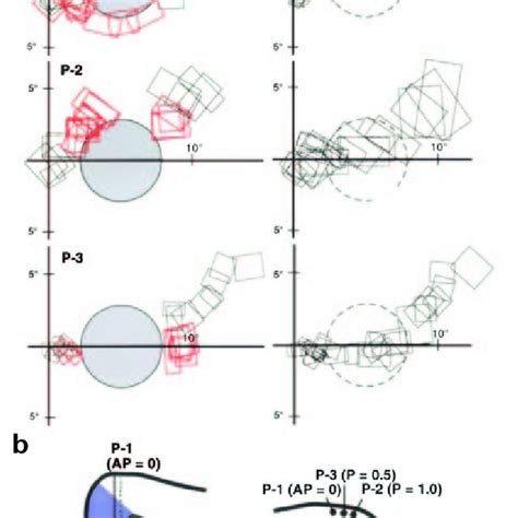 Cortical Reorganization After Early Monocular Lesions A Topographic