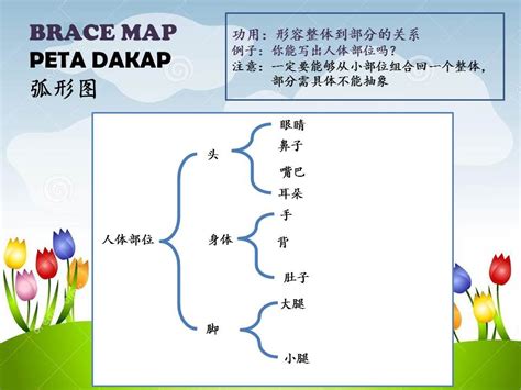 The Eight Thinking Maps Life Long Sharing