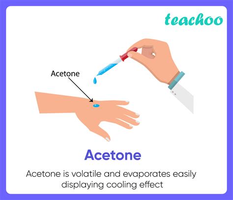 11 Examples Of Evaporation In Our Daily Life Explained Teachoo