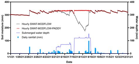 Enhanced Hydrological Simulations In Paddy Dominated Watersheds Using The Hourly Swat Modflow