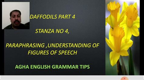 Daffodils Part 4 Stanza 4 9th Class Unit 5 Paraphrasing Youtube