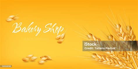 잘 익은 밀 스파이크 호밀 및 마른 짚의 3d 벡터 이미지는 모든 농업 또는 농업 디자인에 적합합니다 밀은 눈에 보이는 씨앗과