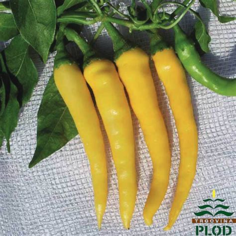 Feferoni Ljuti Uti Trgovina Plod