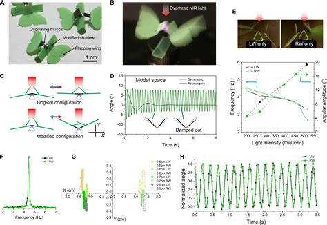 sunlight powered self excited oscillators for sustainable autonomous