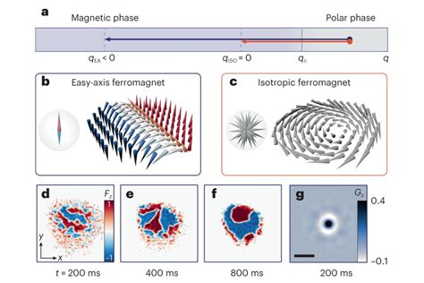 39 Facts About Universality Classes
