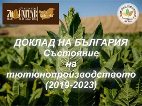 Доклад за състоянието на тютюнопроизводството Pptx