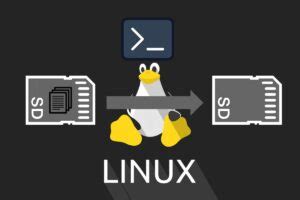 How To Format An Sd Card From A Linux Terminal Cli Raspberrytips