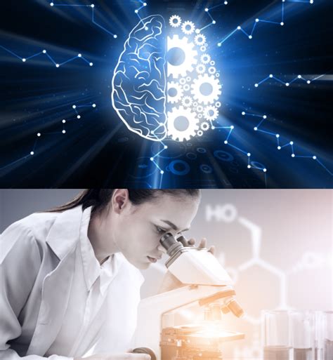 トップページ Functional Neuro Training