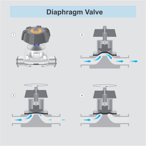 570 Spiral Alat Kontrasepsi Ilustrasi Foto Stok Potret And Gambar