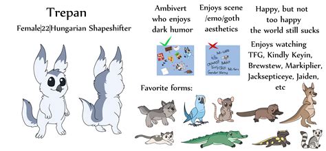 Trepan Reference Sheet 2023 By Trepanulfr On Newgrounds