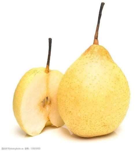 鸭梨雪花梨酥梨啤梨……你搞懂这些梨了吗？ 果皮 果实 营养