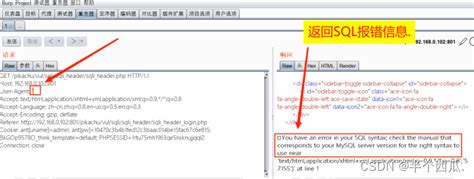 Web安全：sql注入漏洞测试（防止 黑客利用此漏洞）sql注入测试 Csdn博客