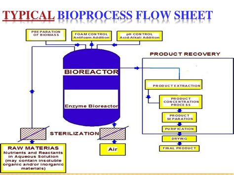 Ppt Biochemical Engineering Processes Powerpoint Presentation Free