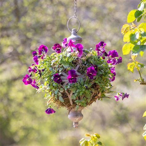 Deck Railing Planter Hooks Transform Your Outdoor Space With Style