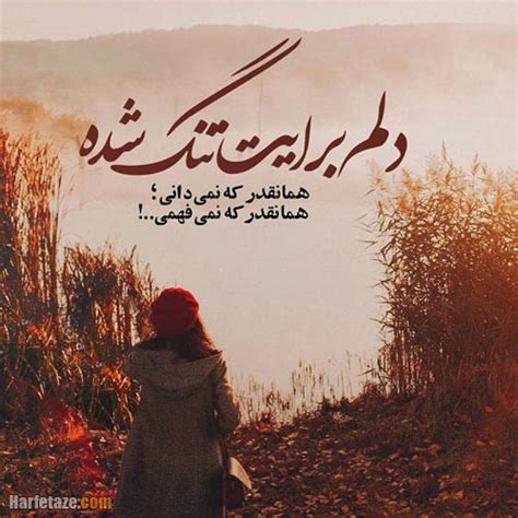 متن و جملات احساسی درباره دلتنگی عکس نوشته و استوری درباره دلتنگ شدن