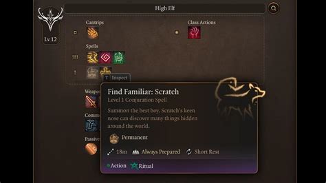 Bg3 All Ritual Spells In Baldurs Gate 3 Pro Game Guides