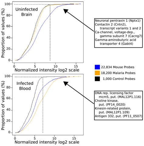 Microarray Probe Specificity A Test Hybridization Was Performed Using Download Scientific