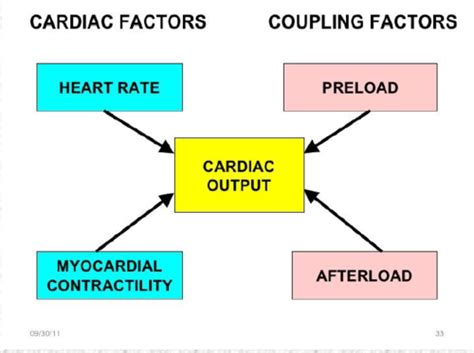 PHYSIOLOGY CARDIAC OUTPUT Flashcards Quizlet