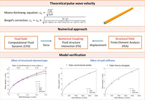 Publications Polymeric Heart Valve Replacements