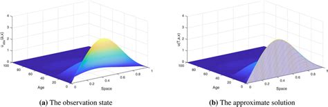 Age‐space Profiles Of The Observed State And The Numerical Download Scientific Diagram