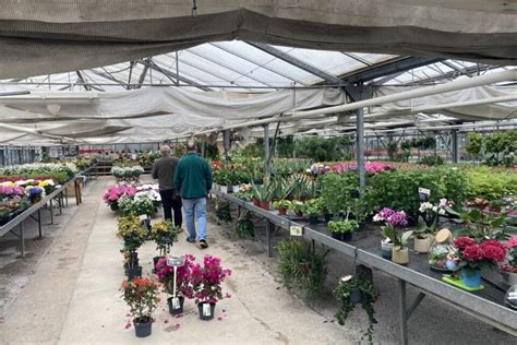 Arbois Emmanuel Bailly Le Pousseur De Tondeuse Devenu Un Patron