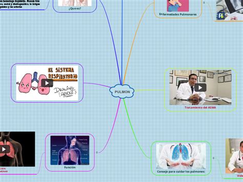 ¿Que es el pulmon? - Mind Map