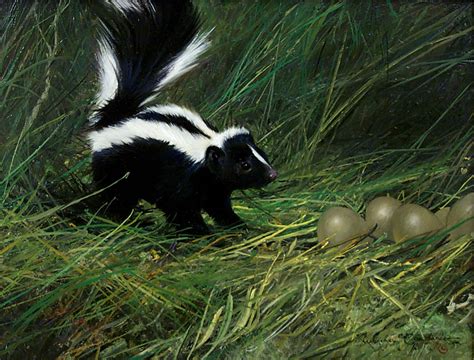 Tiny Charismatic Minifauna From The Permanent Collection National