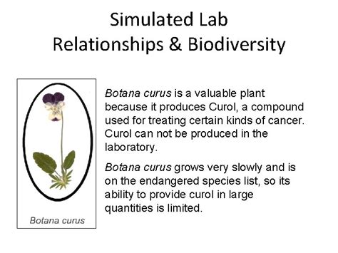 Simulated Lab Relationships Biodiversity Botana Curus Is A