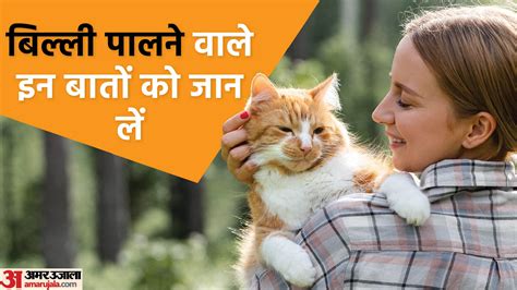 Tips For Cat Ownersबिल्ली पालने से पहले इन बातों का जरूर रखें ध्यान
