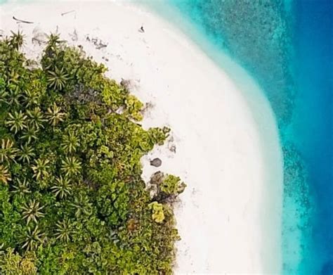 PHP网站开发的策略技术与动态实现 霸气网站开发