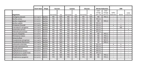 Solved I Need A Dichotomous Key For This 20 organisms Based Solved I Need A Dichotomous Key For This 20 organisms Based