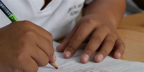 Ncert Syllabus For Class 6 Maths 2024 Download Pdf