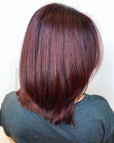 Merlot Hair Color 🍷🙌🏻 Merlot Hair Color Long Hair Styles Hair