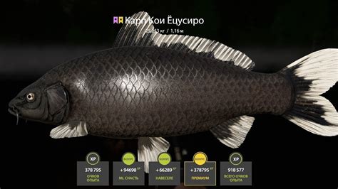 🐠ОЗЕРО МЕДНОЕ РЫБА ВЫХОДИ Я ЗНАЮЧТО ТЫ ТУТ ЕСТЬ СТРИМ РУССКАЯ РЫБАЛКА 4🐠РОЗЫГРЫШИ РУЛЕТОК