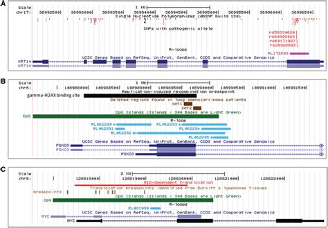 R Loops Co Localization With Mutations And Recombination Regions A Download Scientific
