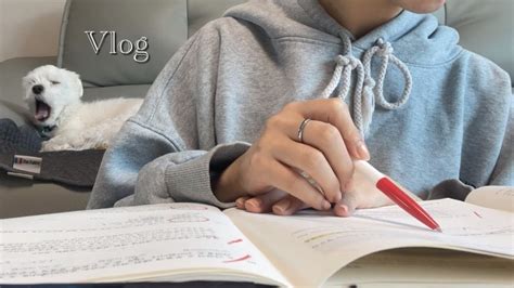 Vlog 공기업 취준생 브이로그 코레일 필기 준비🚅 등린이 앞산 정복하기⛰ Ncs와 전공에 파묻힌 인생 Youtube