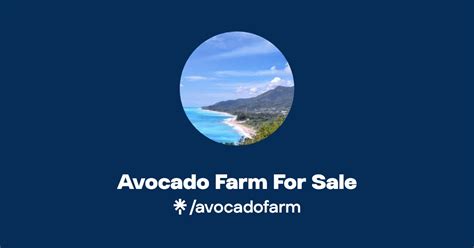 Avocado Farm For Sale | Instagram | Linktree