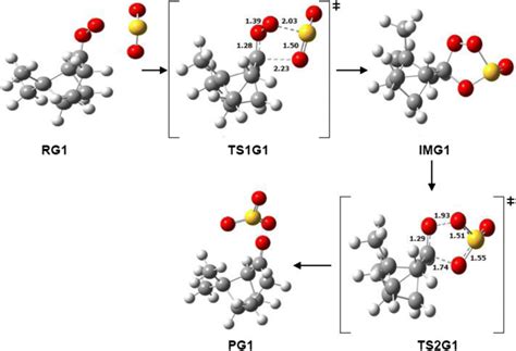 The Optimized Geometries Of The Anti Ci With So2 Reaction Pathway G1 Download Scientific