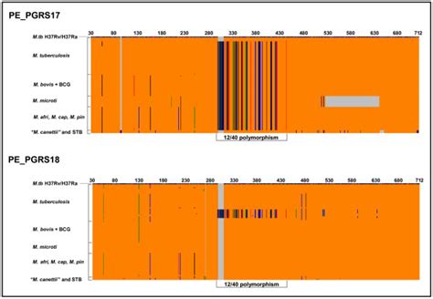A Plot Graph Showing The Genetic Variability Within PE PGRS And Download Scientific Diagram